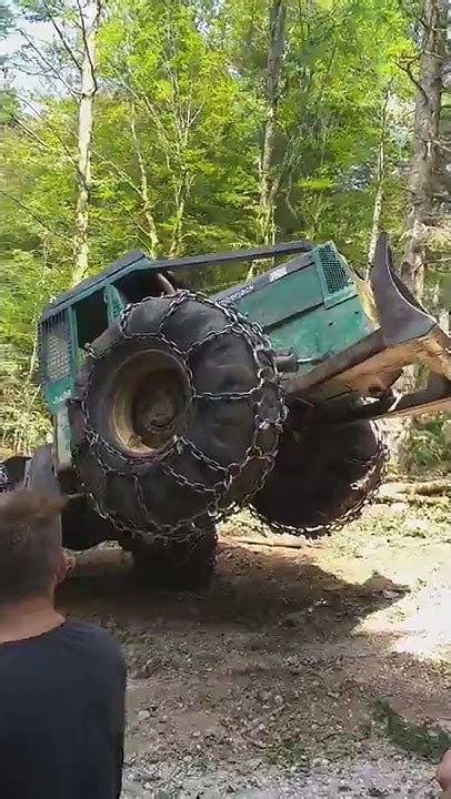 Image result for Timberjack Reviews