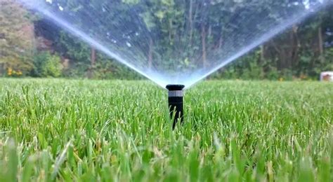 Image result for Irrigation Types