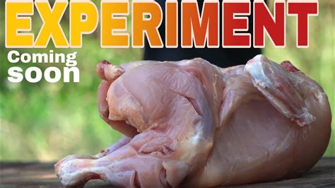 Image result for Cooking Exsperiment