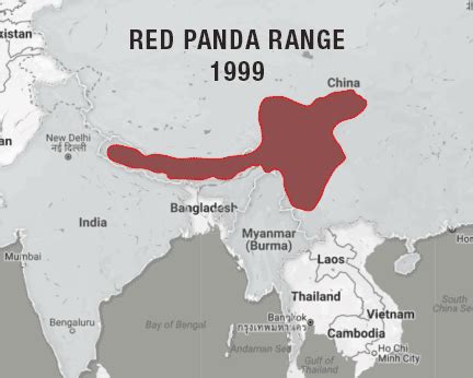 Image result for Red Panda Map