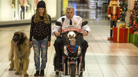 Image result for Grumpy Cat Humor