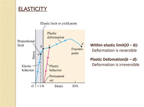 Image result for Basic Physics Elasticity