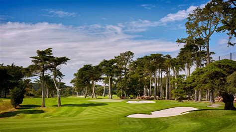 Image result for TPC Harding Park Golf Course