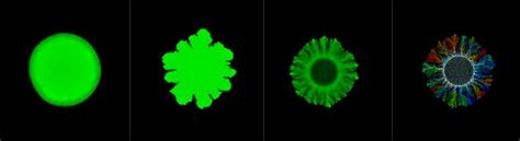 Image result for Comet Programming