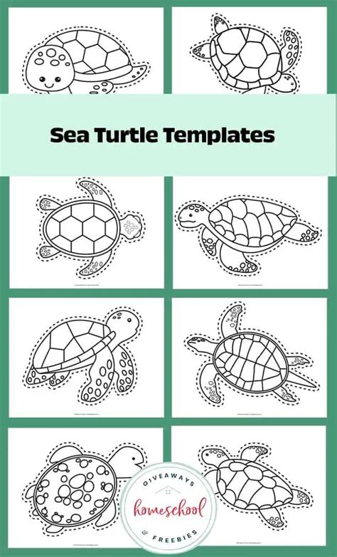 Image result for Sea Turtle PrintOut