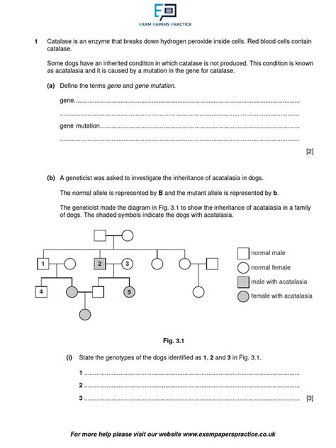 Image result for Gene Pathway Genetics Questions