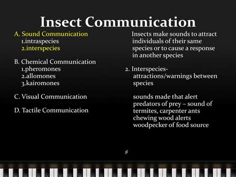 Image result for Cricket Insect Communication