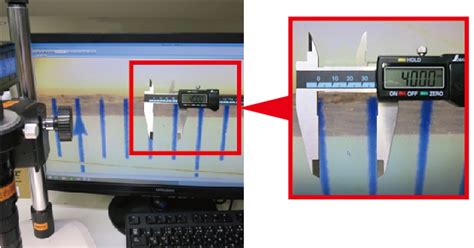 Image result for Stereo Microscope Magnification