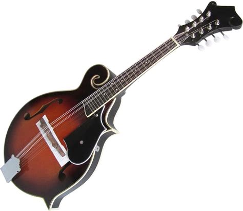 Image result for Mandolin String Types