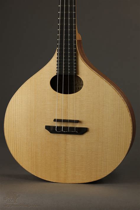 Image result for Nylon String Mandolin