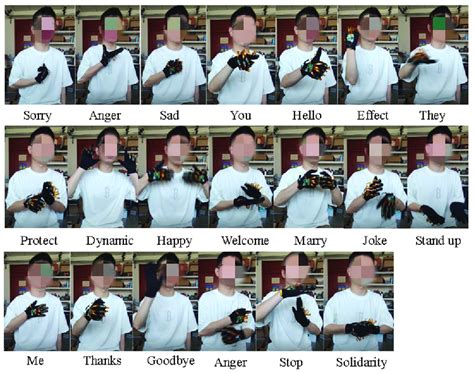 Image result for Chinese Sign Language
