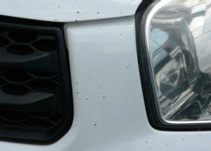 Image result for Doctor Color Chip