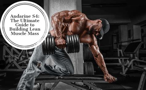 Image result for Building Muscle Mass Sublinal