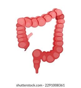 Image result for Straining Bowel Animation