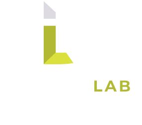 Image result for Density Lab