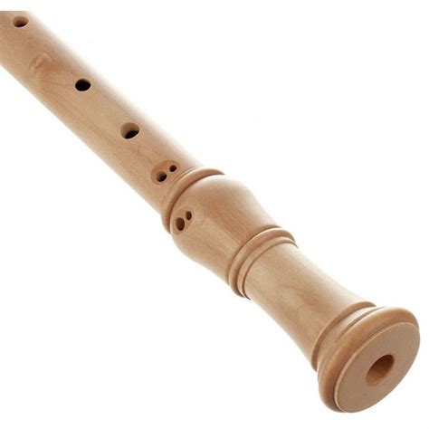 Image result for Tenor Recorder Performance