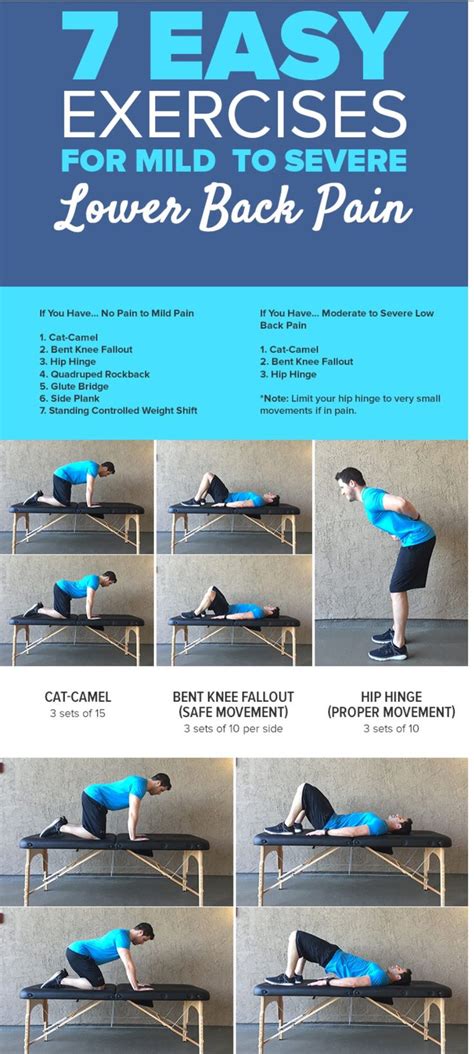 Image result for Simple Back Exercise
