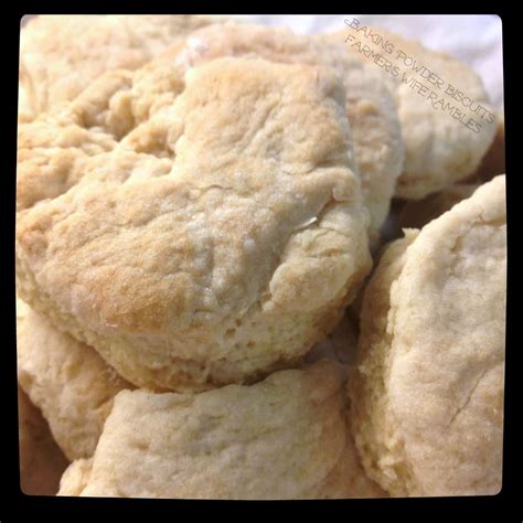 Just Like Grandma's Baking Powder Biscuits - Farmer's Wife Rambles