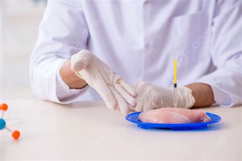 Image result for Human Body Food Lab