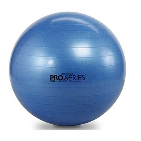 Image result for Small Blue Exercise Ball