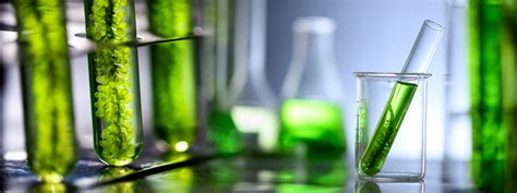 Image result for Biofuel Production Process