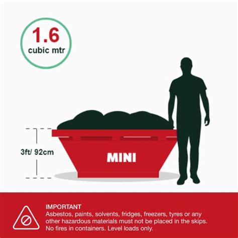 Image result for Mini Skip