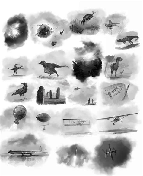 Image result for fly vision evolution