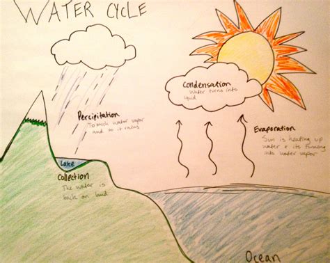 Image result for Water Cycle Step by Step Drawing
