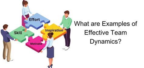 Image result for Team Dynamics Examples