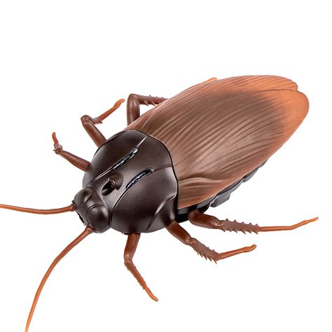 Image result for Cockroach Toy