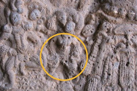 Image result for Tabla Rhythms