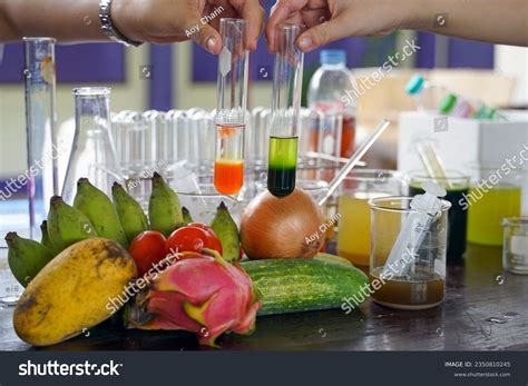 Image result for DNA Extraction Process On Plants