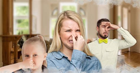 Image result for EMT Explained