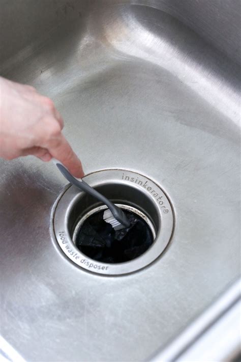 Image result for Garbage Disposal Clean Out