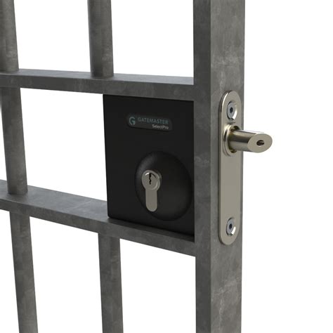 Image result for Gate Lock