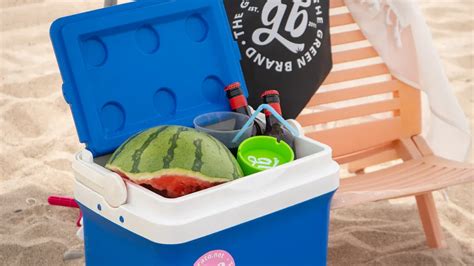 Image result for Ice Chest Comparison Test