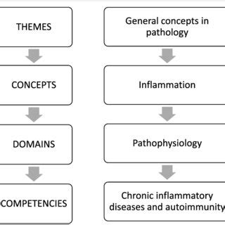 Image result for RCPath 9th September Flowchart