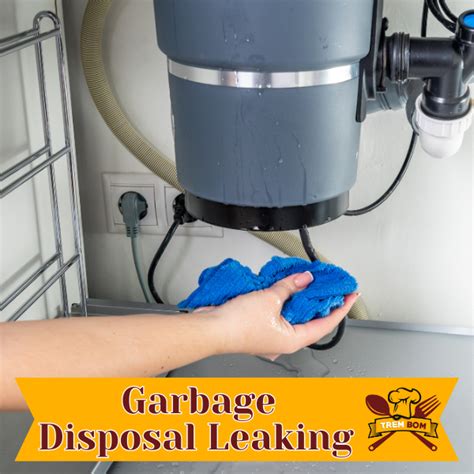Image result for Fix a Leaking Garbage Disposal