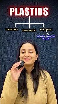 Plastids: Structure & Functions | Types of Plastids #shorts #ytshorts #biology #neet #class11 #yt
