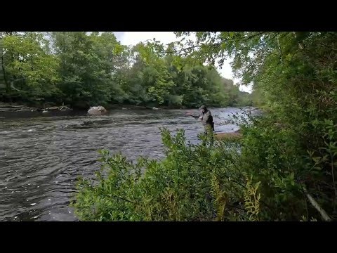 Mörrum - Fly-Caster's spring break -25