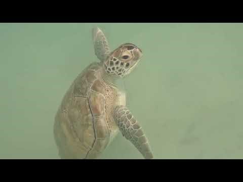 2025 Abaco Islands Boating Charter