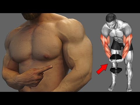 Your arms Will Grow in Record Time ⏱️​​ With these exercises 💪