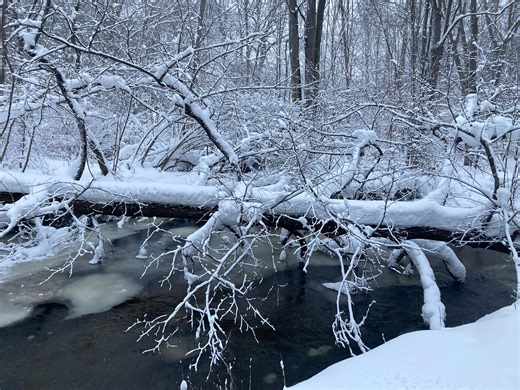 What is a polar vortex? Wind chill temperature? Winter weather terms to know