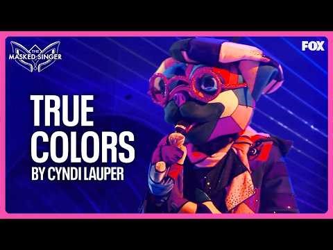 Pugcasso Performs “True Colors” by Cyndi Lauper | Season 14 | The Masked Singer