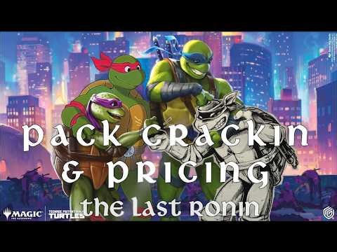 Magic: The Gathering - Secret Lair - Teenage Mutant Ninja Turtles - The Last Ronin