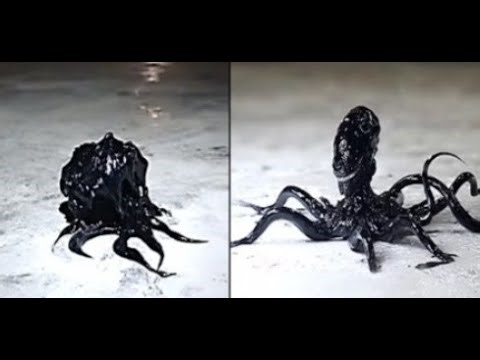 Panama Alien Meteorite? 😱 Viral “Venom-Like” Creature Explained