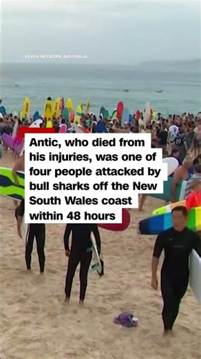 Paddle circle formed to honor 12-year-old shark attack victim