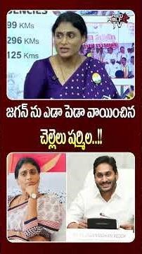 YS Sharmila Mass Counter To Jagan : జగన్ ను ఎడా పెడా వాయించిన చెల్లెలు షర్మిల | Wild Wolf Telugu