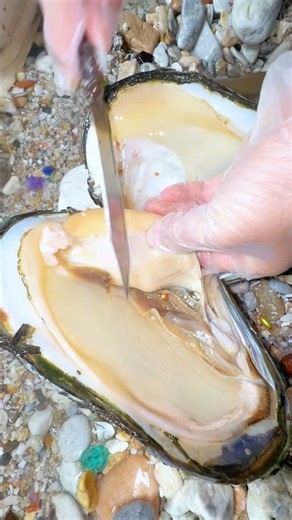 Sea Agate and Sea Crystal: Finding Hidden Treasures on the Shore and rare pearl