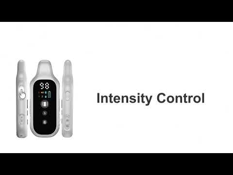 800m Digital Dog Training Collar Waterproof Rechargeable Remote